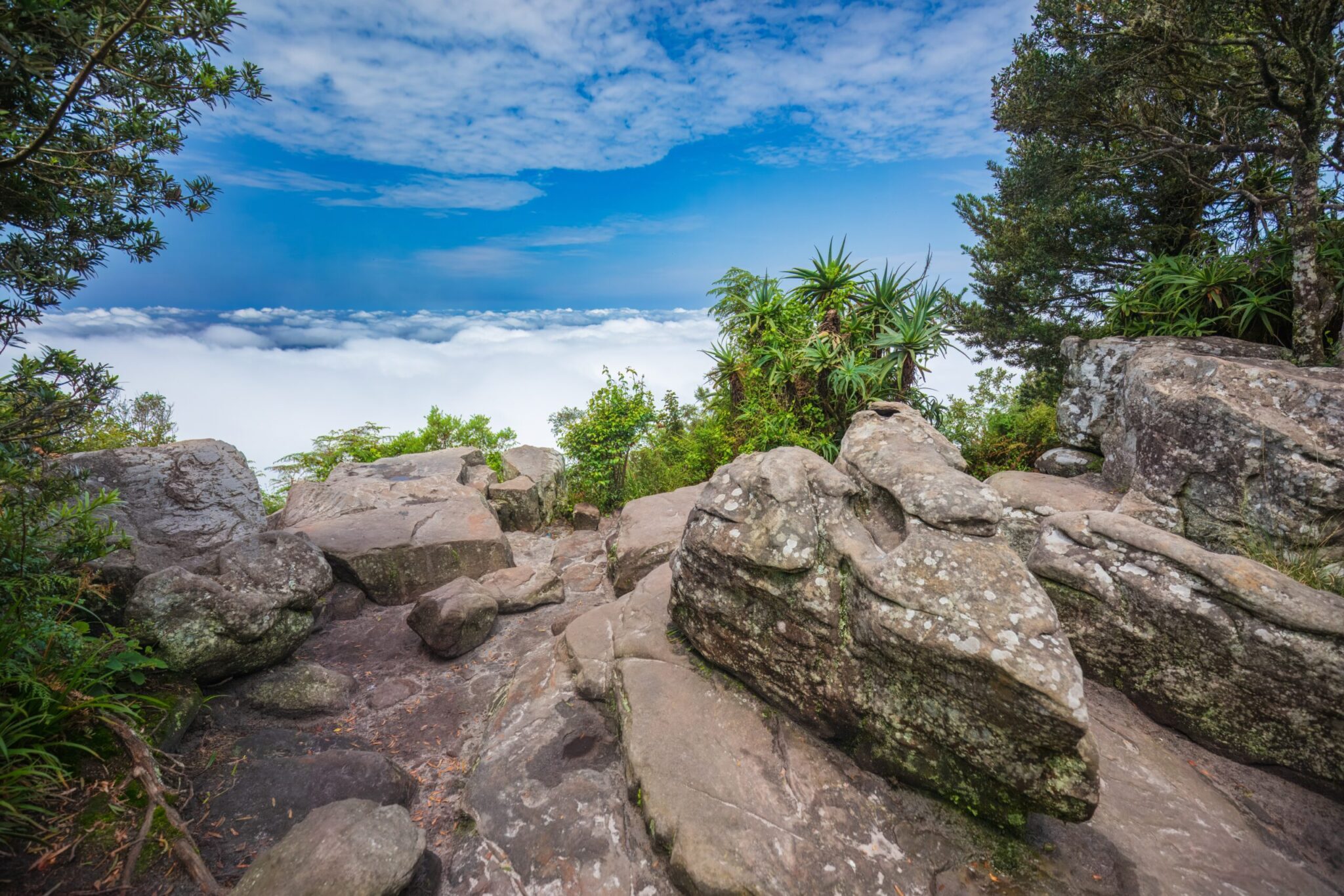 What Does God Look Like? The Bible’s Answer Might Surprise You